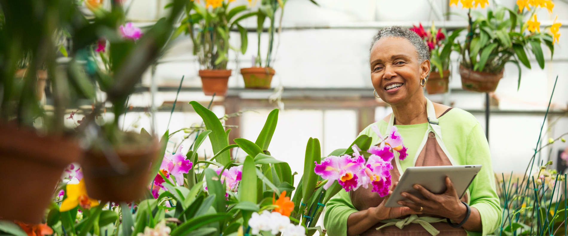 Medicare Basics | Tufts Health Plan Medicare Preferred