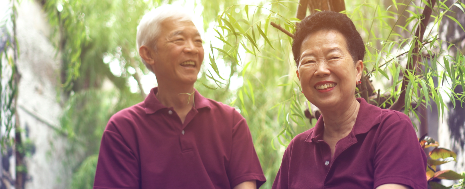 Get Senior Care Options (D-SNP) Member-Only Discounts in 2026 with Your ...
